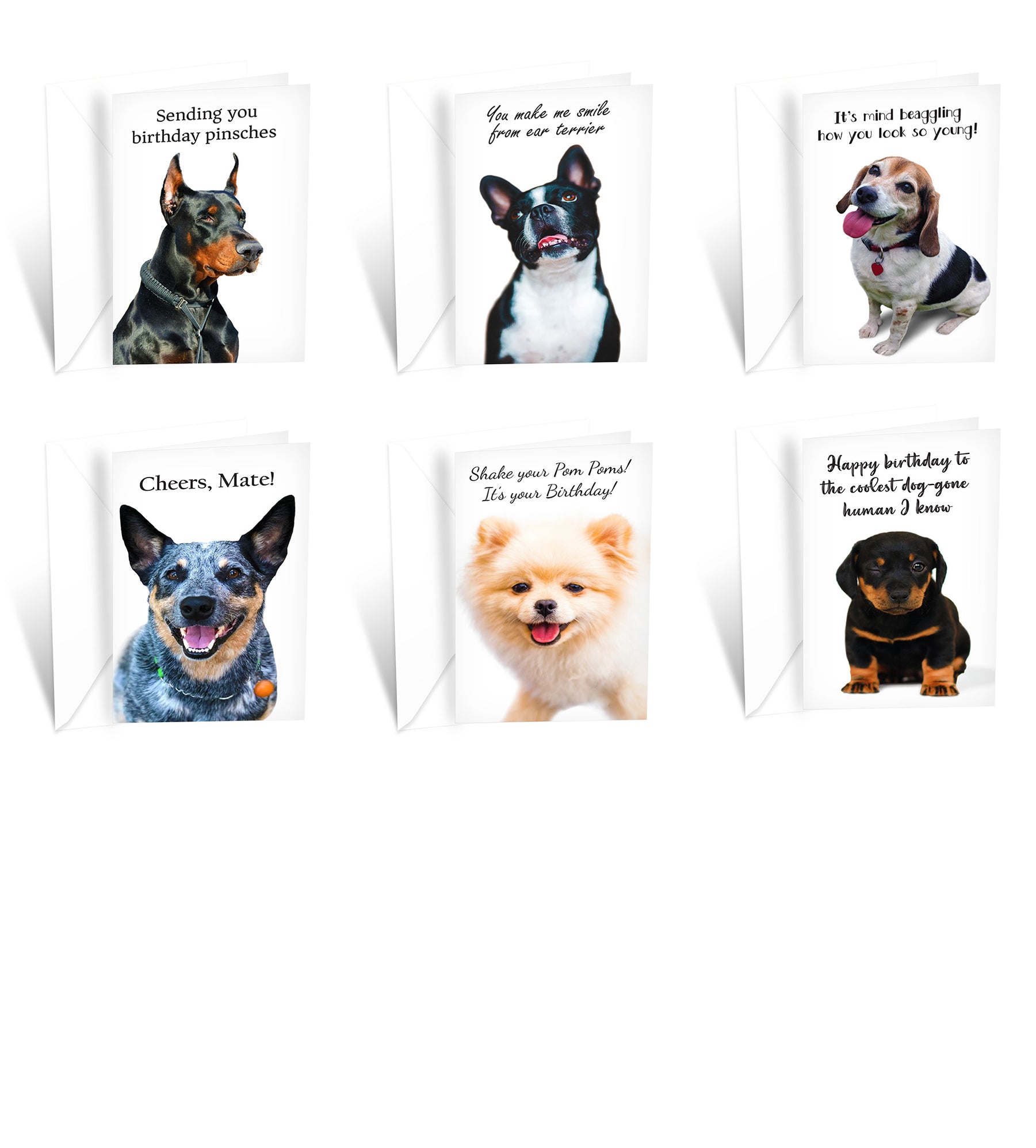 24 Funny Dog Card Collection — Prime Greetings